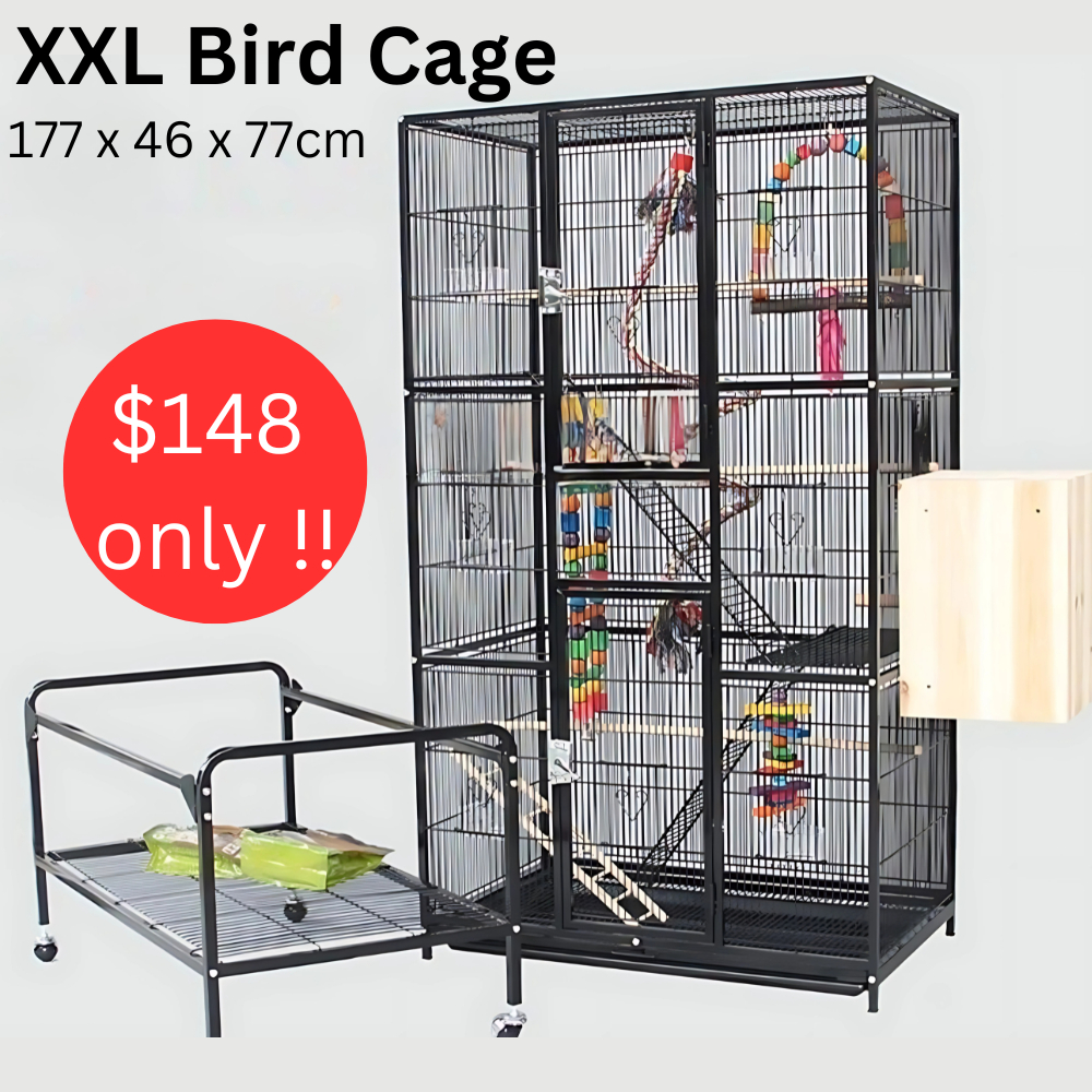 Super XXL Bird Cage | Large Parrot Cage with Multiple Perches & Feeders ...