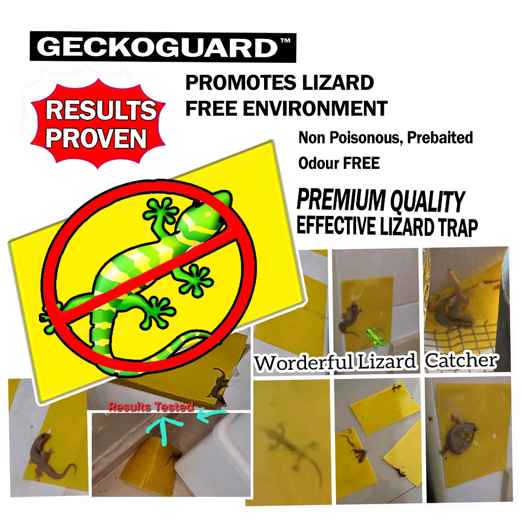 【🚚SHIPS FROM SG】GeckoGuard™ Very Good Quality Effective Lizard Trap 2 ...