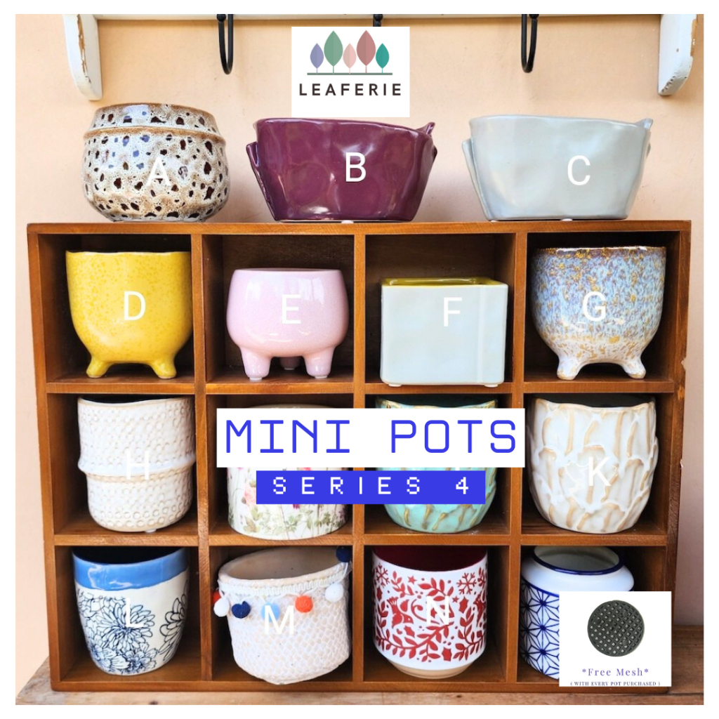 The Leaferie Mini Pots (Series 4)10cm petit small plant pots flowerpot ...