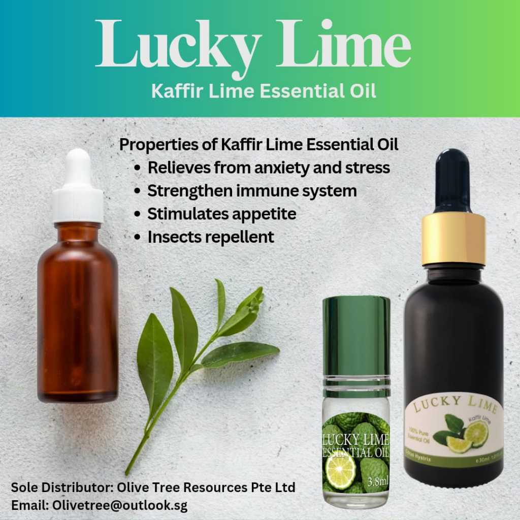 [SG READY STOCK] Lucky Lime Kaffir Lime Essential Oil 3.8ML | Shopee ...