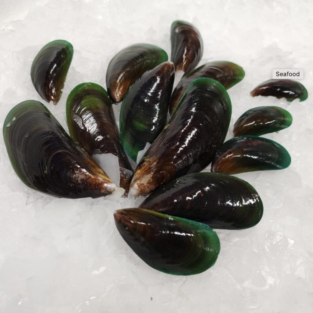 [Tankfully Fresh] Frozen Mussels Green Lips (Whole Shell) 冰冻半壳青口贝 (1kg ...