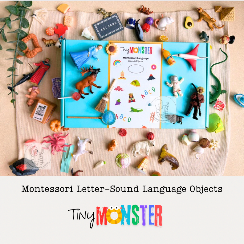 TINY MONSTER Montessori Letters Sound Phonics Alphabet Objects (book ...