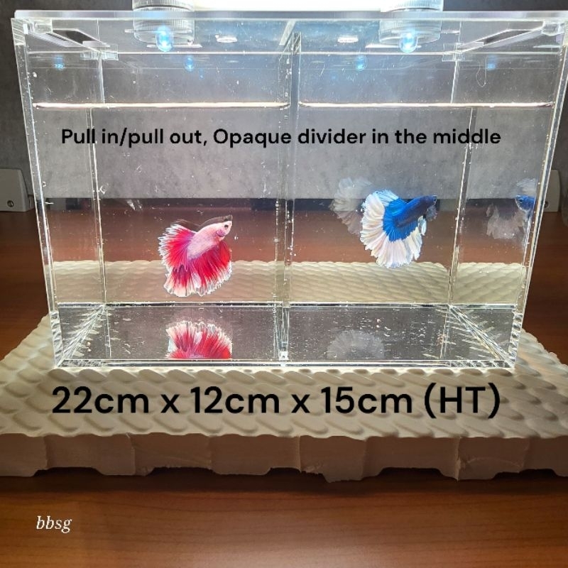 Twin betta tank. Double betta tank. Pairing tank. Betta Tank. 12cm x ...