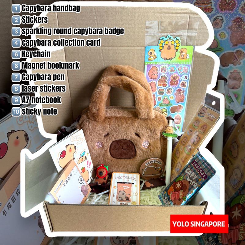 Capybara surprise gift box,birthday gift ,capybara stationary | Shopee ...