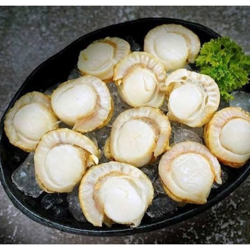 Scallop Meat (Fresh/Chilled) | Shopee Singapore