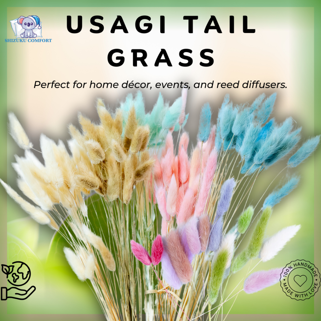 Usagi Tail Grass (うさぎ尾草) – Handmade Dried Flower Bouquets for Reed ...