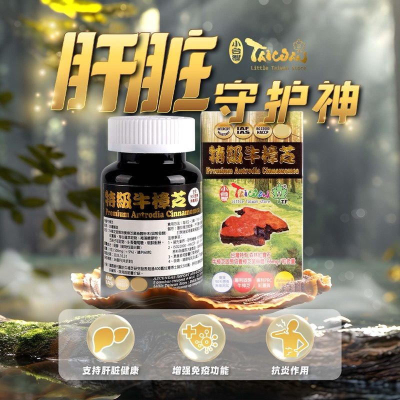 *Pre-Order LITTLE TAIWAN Premium Antrodia Cinnamomea (TF SG) Live ...