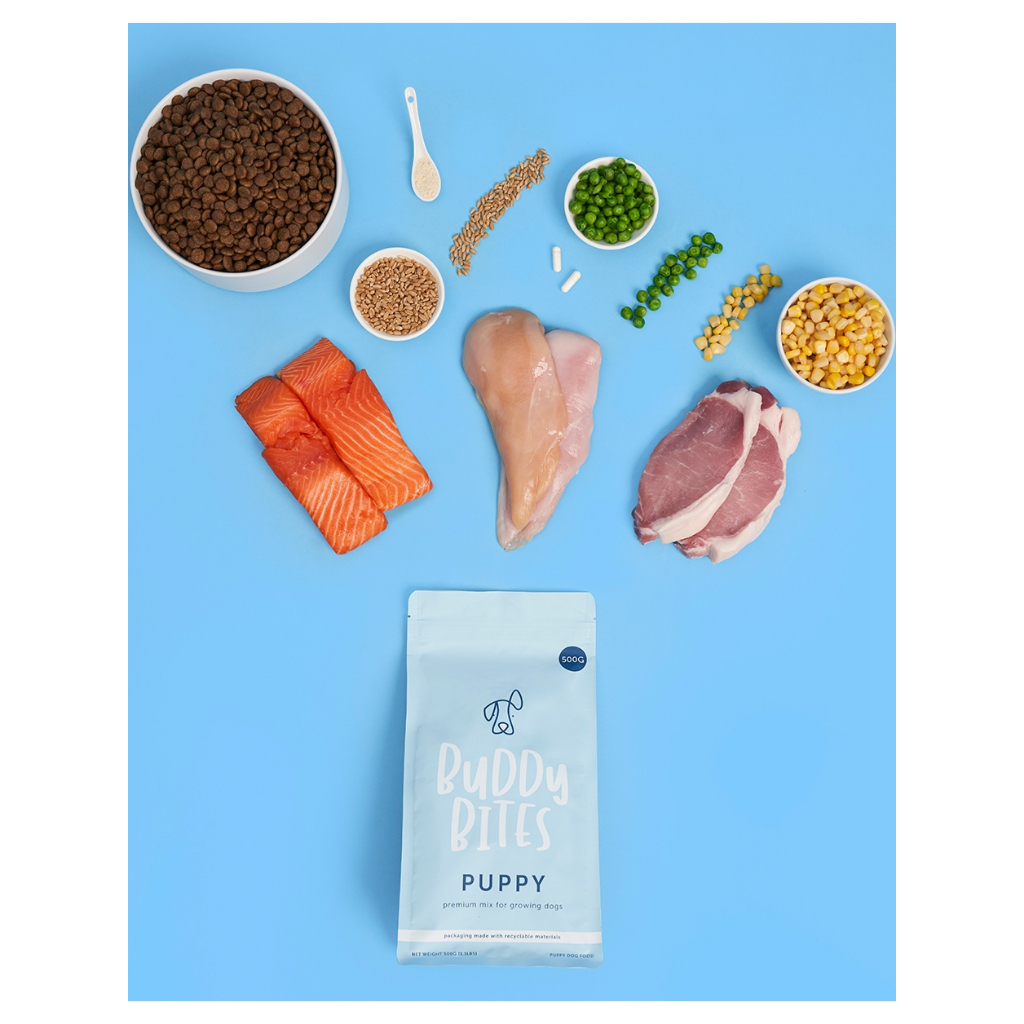 Buddy Bites - Dry Puppy Dog Food - Essential Development Nutrients ...