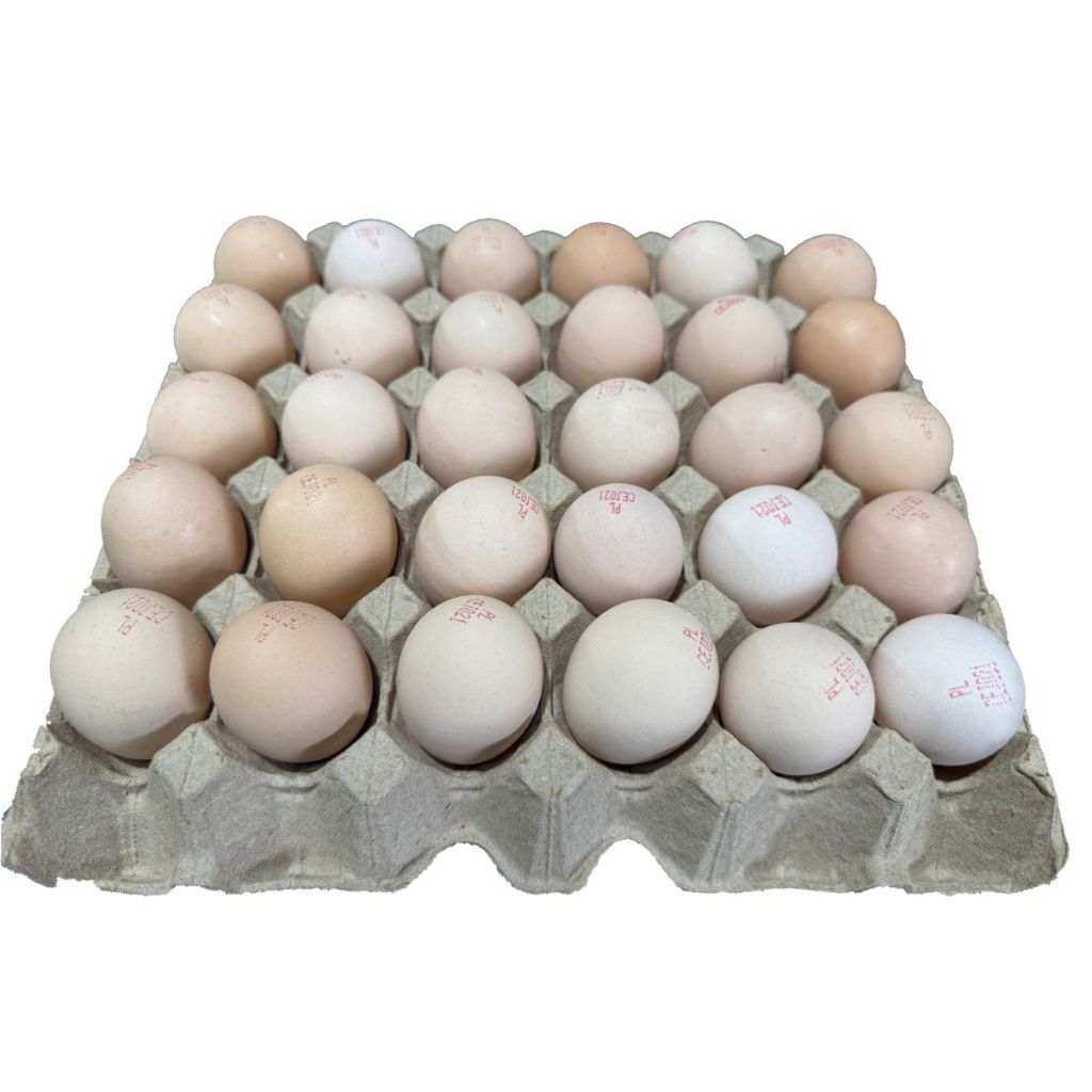 Fresh Kampong Eggs 30pcs/tray – 甘榜鸡蛋30粒 55G | Shopee Singapore
