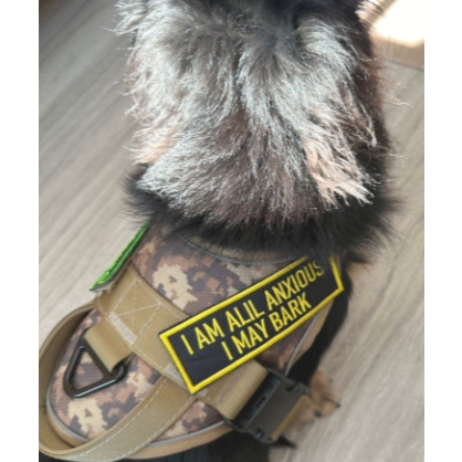 [SG STOCK] Velcro Name tag | Pet Harness Name Tag | Customise Army Name ...