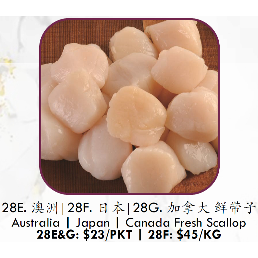 28G) Frozen Canada Scallop 冷冻加拿大带子 | 450G | EASY TO COOK | DELICIOUS ...