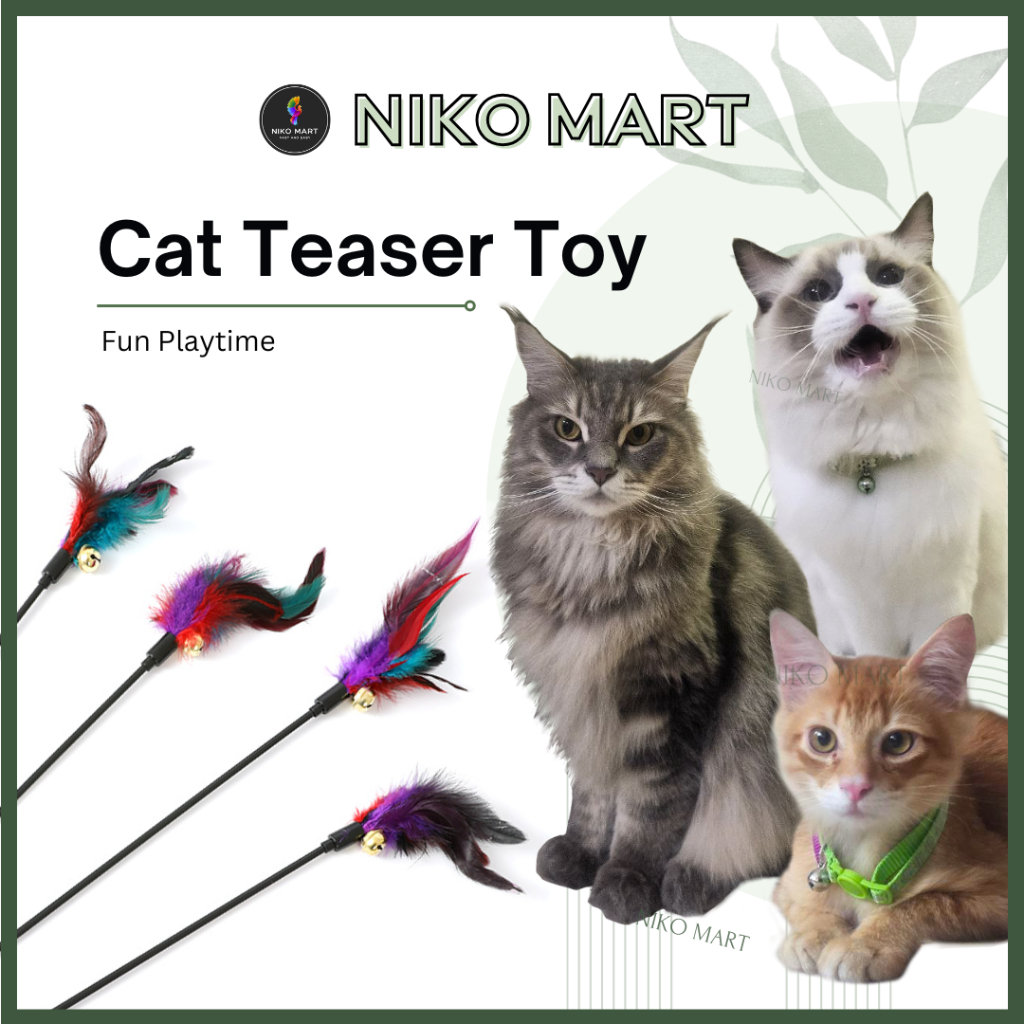 Cat Tease Stick Cat Toy Cat Teaser Cat Chaser | Shopee Singapore