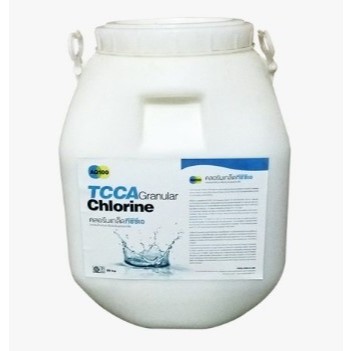 90% GRANULAR/TABLET CHLORINE 1KG | Shopee Singapore