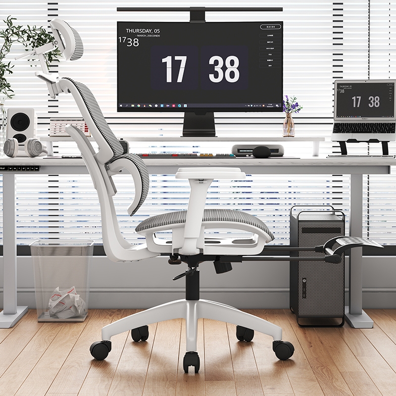 BIC ERGO Series Ergonomic Home Office Chair | Shopee Singapore