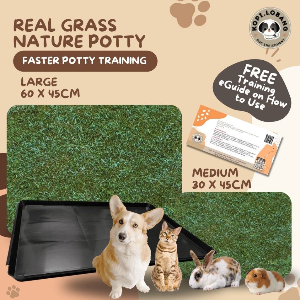 [SG] REAL GRASS NATURE POTTY ★ Dog Cat Potty Grass ★ Free Shipping ...