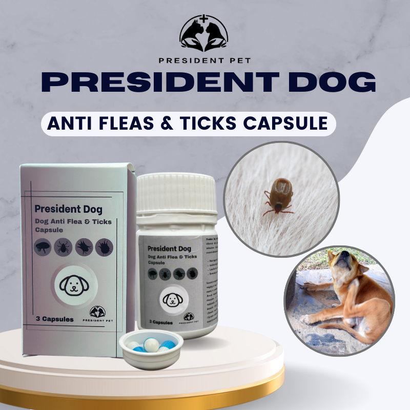 [President Dog] Anti Ticks and Fleas Capsule for Dogs x 1 Capsule 狗驱虫药 ...