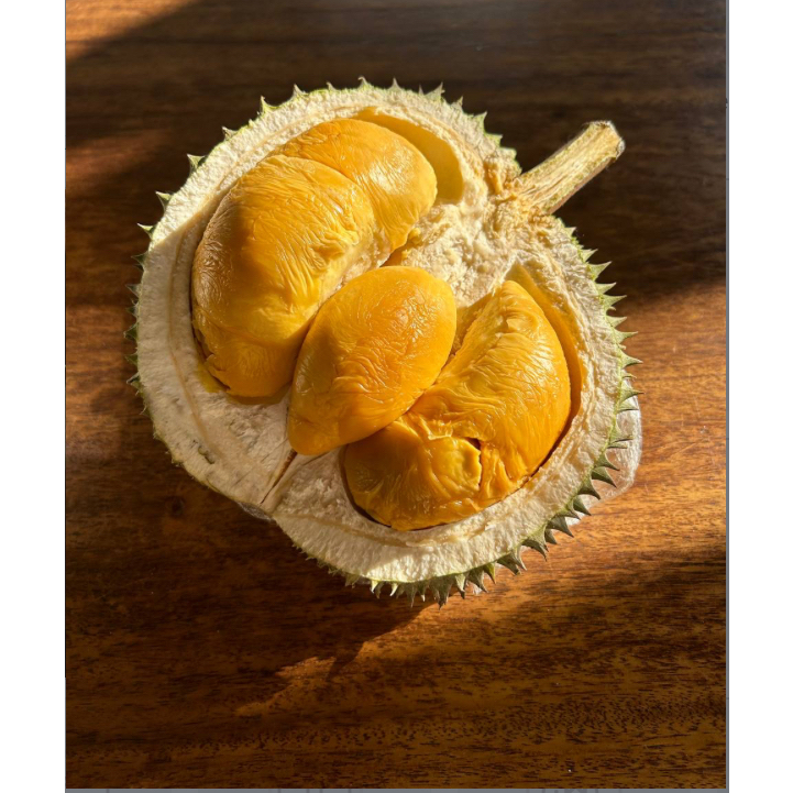 Ms Durian Red Prawn | Shopee Singapore