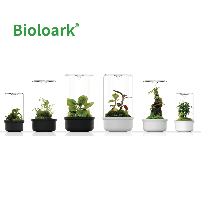 BIOLOARK - Bio Bottle Terrarium (MH-80/100/120) (Black/White) | Shopee ...