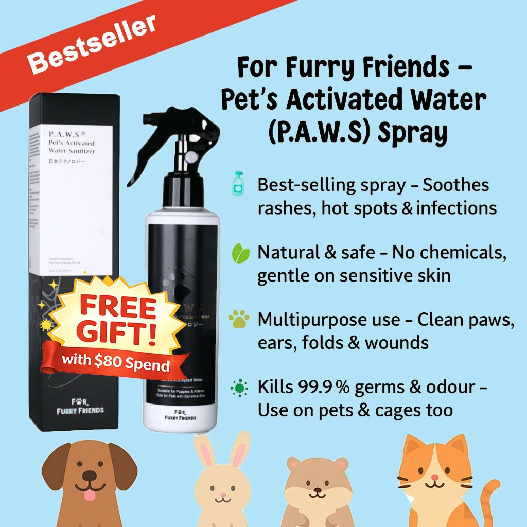 For Furry Friends PAWS Spray | Dog & Cat Paw Cleaner & Sanitizer | No ...