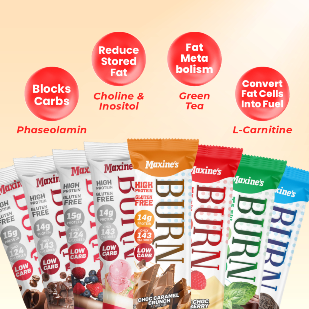 (6 pcs) Maxine's Burn Protein Bars 40g | Shopee Singapore