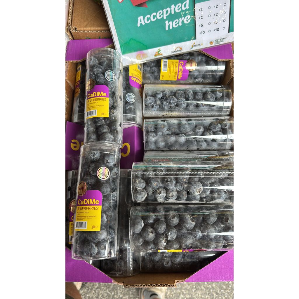 Peru Jumbo Blueberry Tube 200g | Shopee Singapore