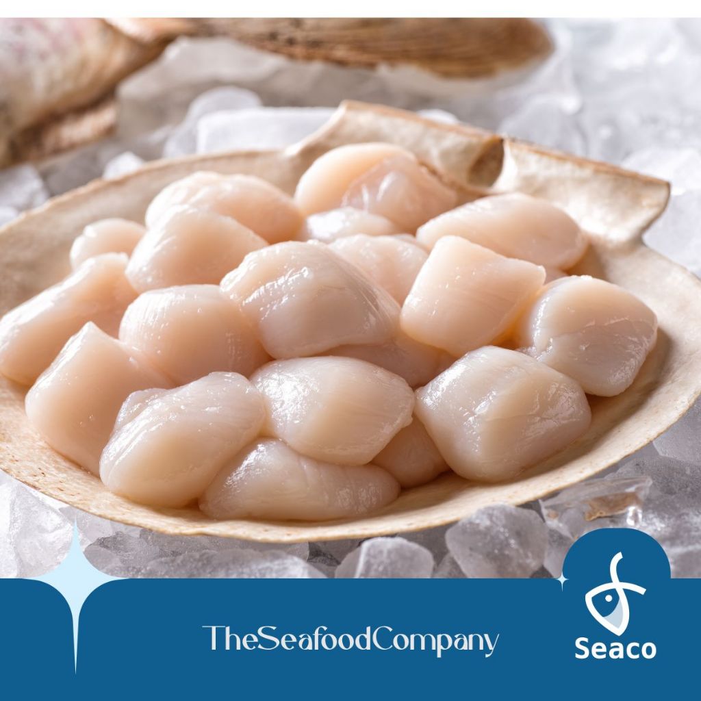 [Seaco] French Scallop Meat - Size 10-20 - 500g | Shopee Singapore
