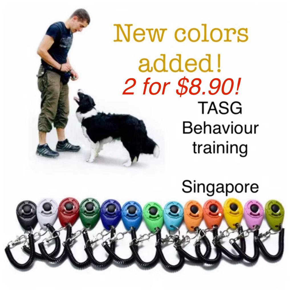 pet Clicker Training birds parrots pets cats dogs animal behaviour ...