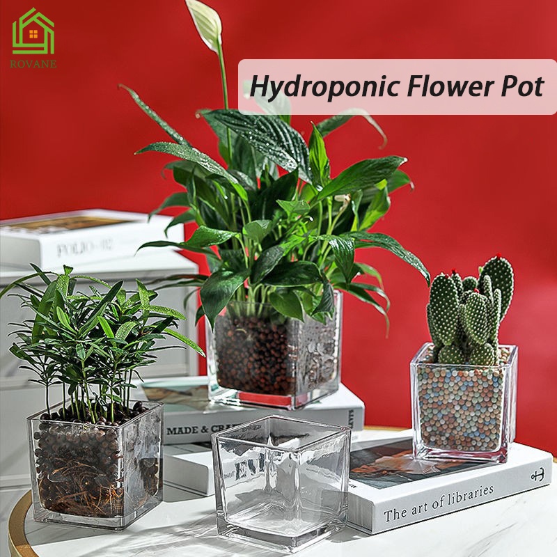{SG} Hydroponic Flower Pot Glass Hydroponic Plant Pot Aquatic Plant ...