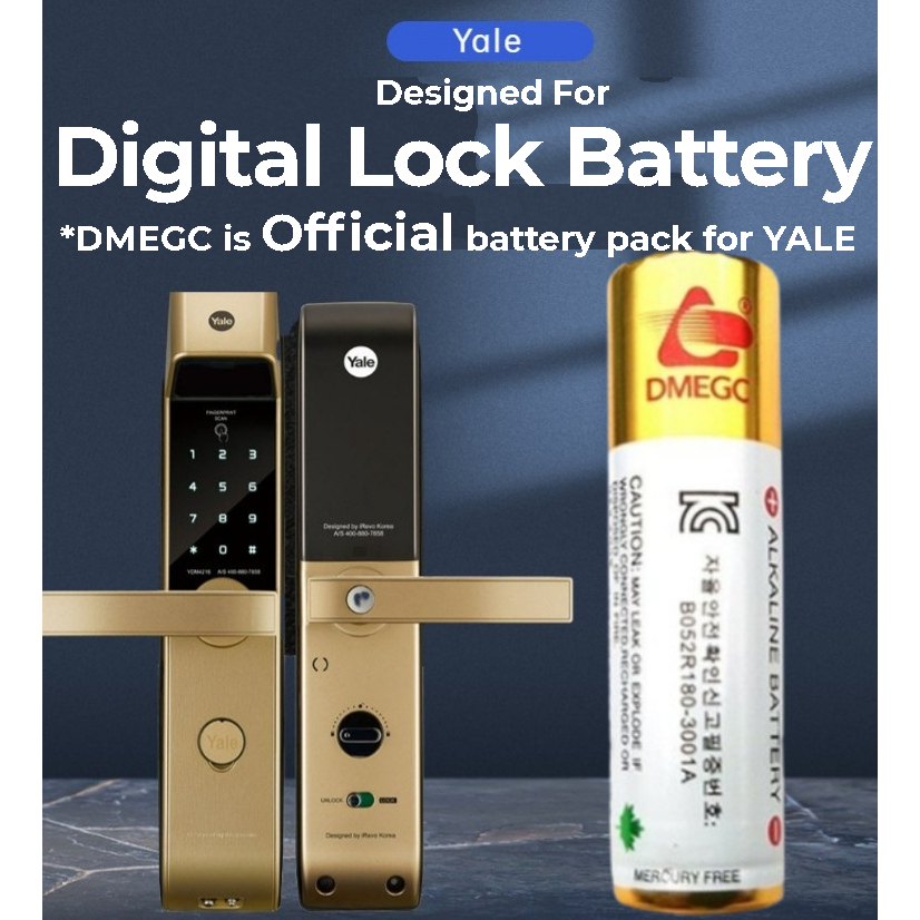 [DMEGC Gold] 2600mAh AA Alkaline Original Battery For Yale Digital Lock ...