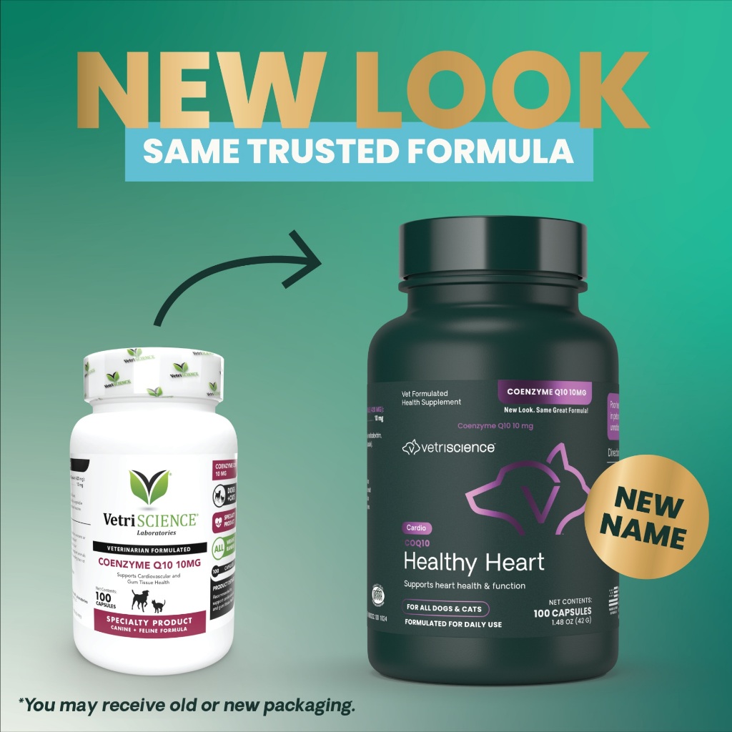 VetriScience CoQ10 Healthy Heart for Dogs & Cats (100 capsules) - formerly known as Coenzyme Q10 ...