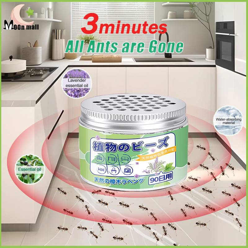 【SG】Plant Formula Ants Repellent Magic Box Combat Ant Killer Safe & Non ...