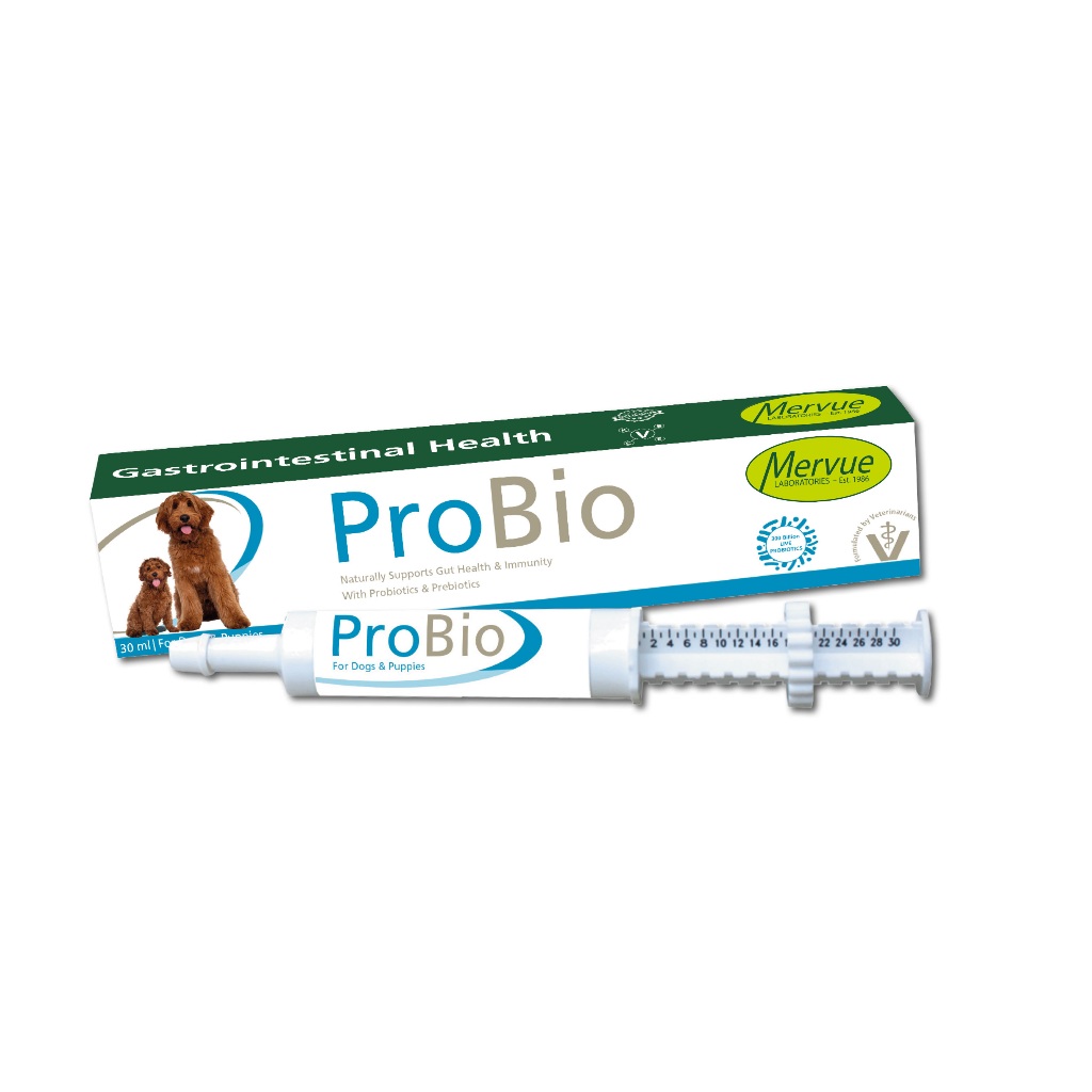 ProBio Paste - Probiotics & Prebiotics Supporting Gut Health in Puppies & Dogs (30ml) | Shopee ...