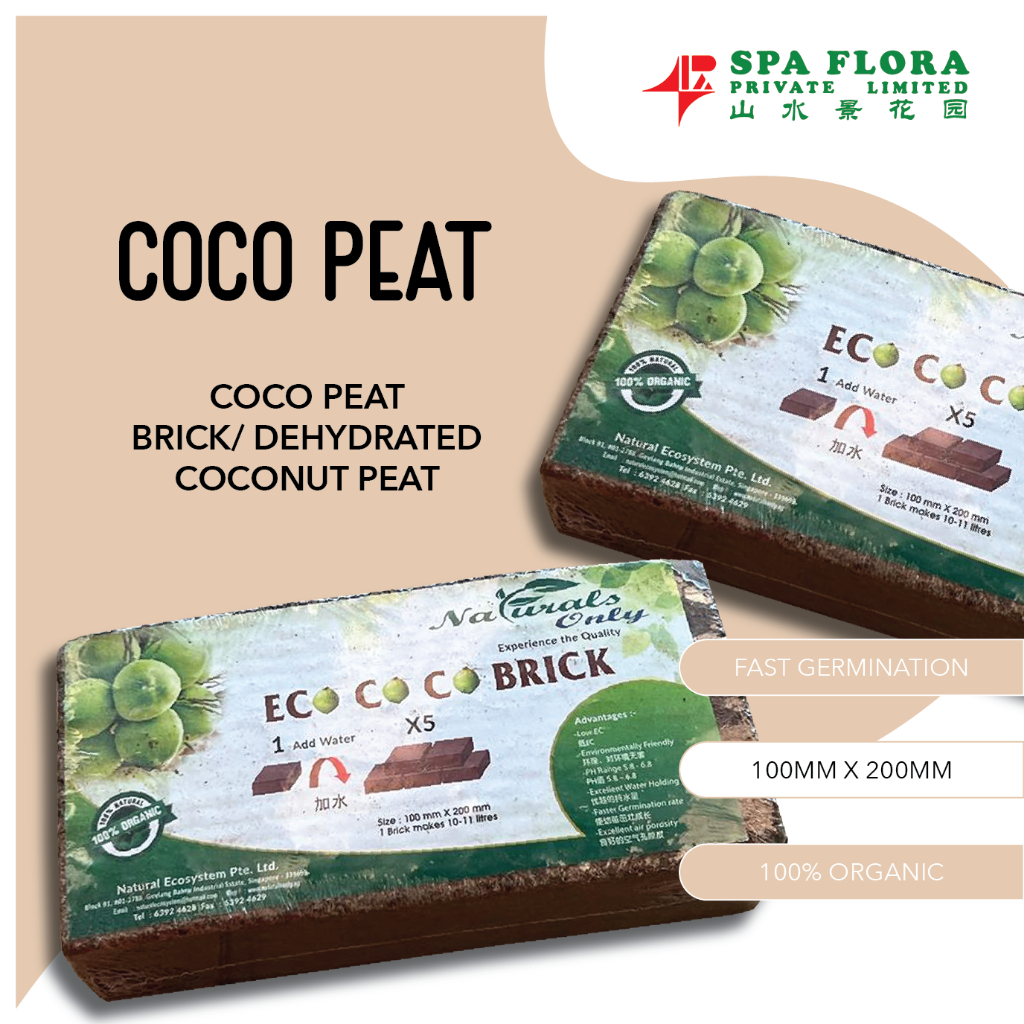 ECO COCO PEAT BRICK 100MM X 200MM | Shopee Singapore