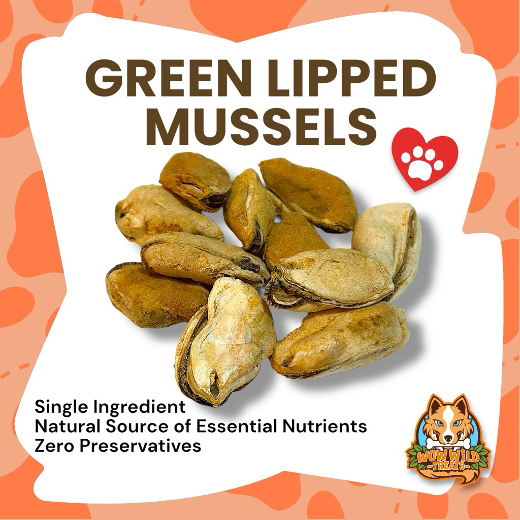 Freeze Dried Green Lipped Mussels for Dogs (60g) | Shopee Singapore