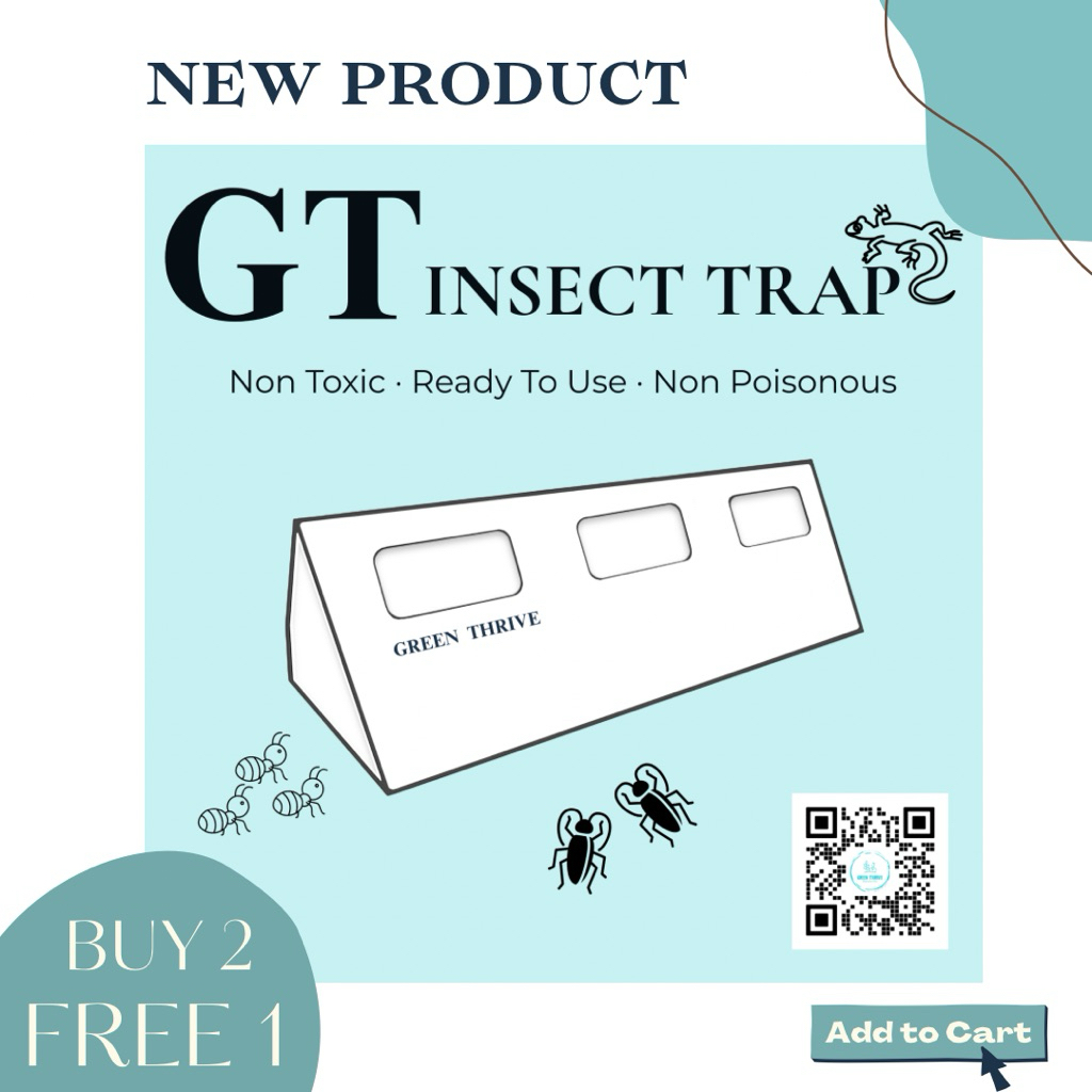 GT Insect Trap | Non-Toxic Cockroach & Lizard Sticky Trap | Indoor ...