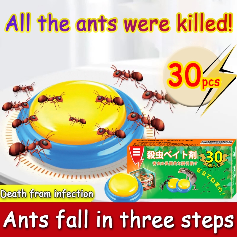 【All ants died in 30s】BS Ant bait Ant killer Ant bait killer Ant poison ...