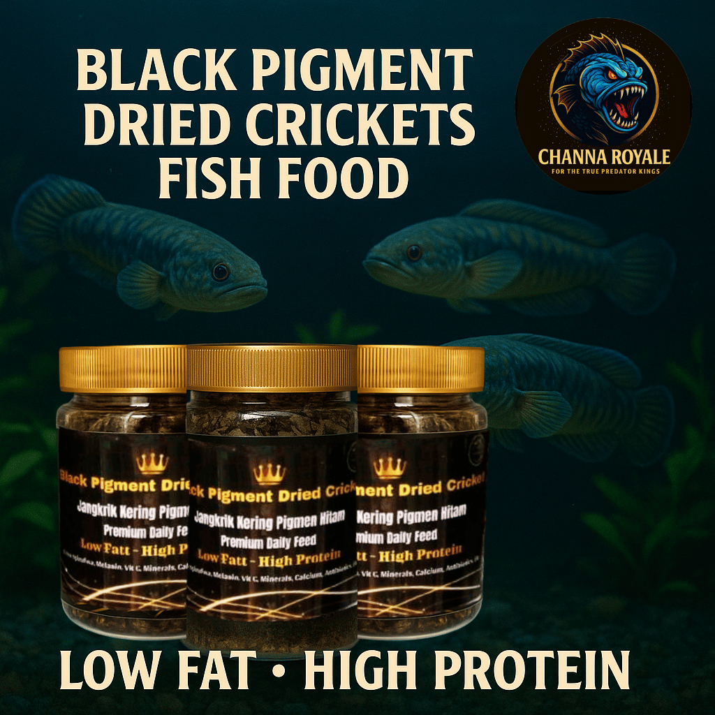 High-Protein Dried Cricket with Spirulina Boost | Natural Supplement to ...