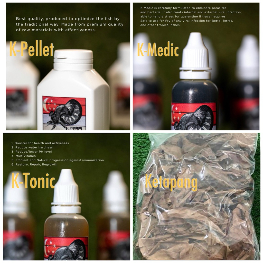 KTeam Singapore Betta Fish starter kit with Sea KTP leaves | Shopee ...
