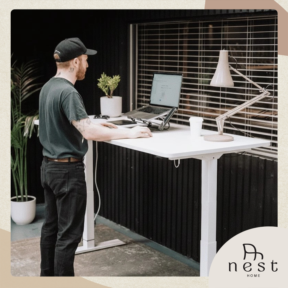 (NEST) FLEXISPOT E2 Pro Height Adjustable Standing Desk / Work / Study / Gaming / Adjustable ...