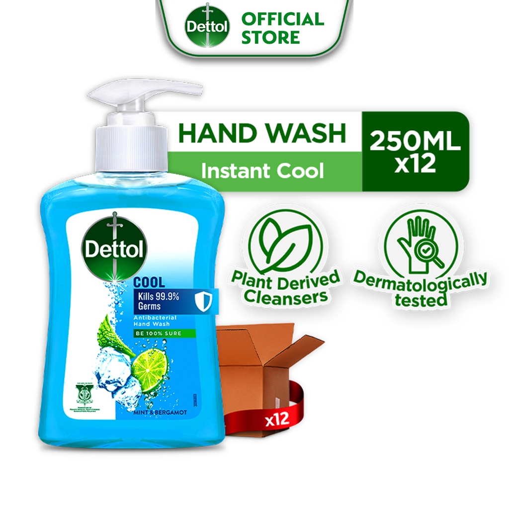 [Bundle of 12] Dettol Cool Hand Wash (250ml) | Shopee Singapore