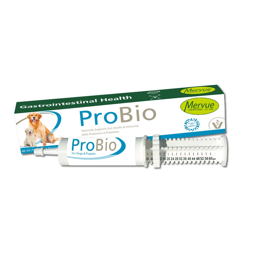 ProBio Paste - Probiotics & Prebiotics Supporting Gut Health in Puppies ...