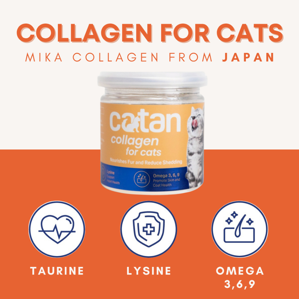 CATan Hydrolyzed Egg Powder for Cats - Collagen + Immunity ...