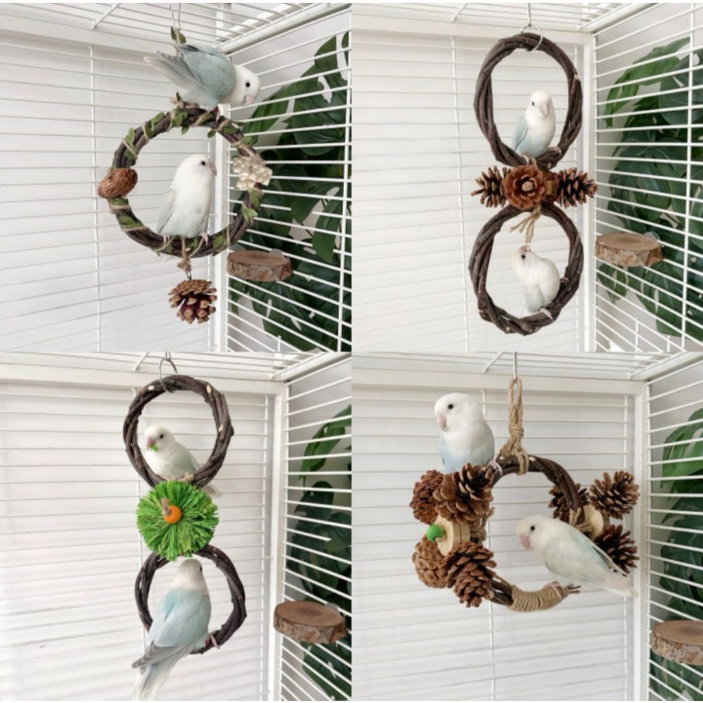 Parrot Swing With apple Branch Rings | Corn Husks Double Hanging Rings ...