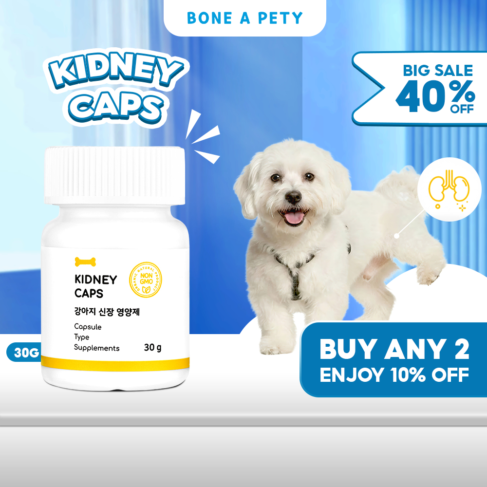 BONEAPETY KOREA Dog Kidney Support Supplement Kidney Caps 60 Capsules ...