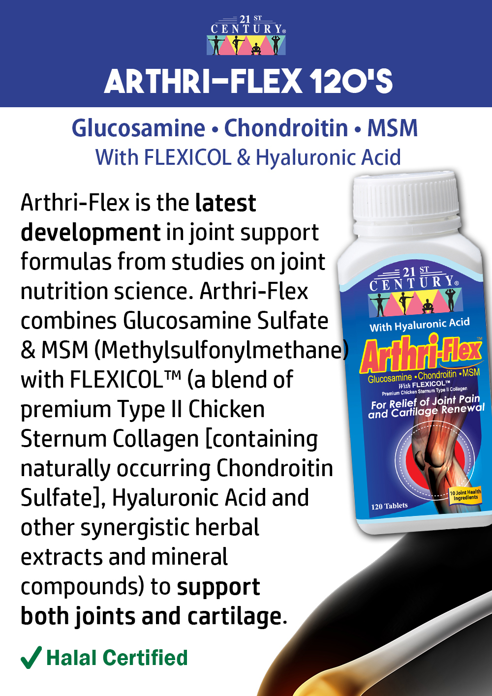 21st Century Arthri-Flex 120 Tablets Glucosamine, Chondroitin, MSM ...