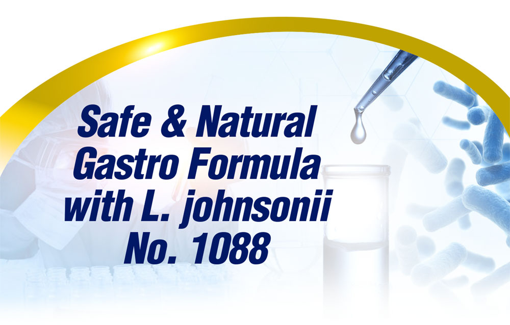 [3 Boxes] LABO GastriCELL Capsules - Eliminate Gastric Symptoms Acid ...