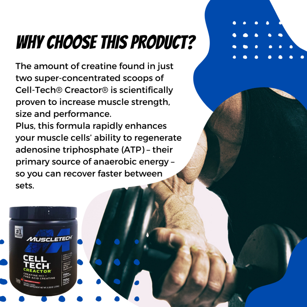 [BUNDLE] 2x MuscleTech Cell Tech Creator Creatine Fruit Punch 9.51 oz ...