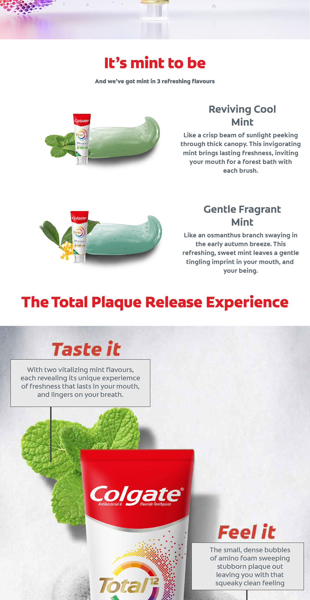 Colgate Total Plaque Release Gentle Fragrant Mint 95g [ Bundle of 2 ...