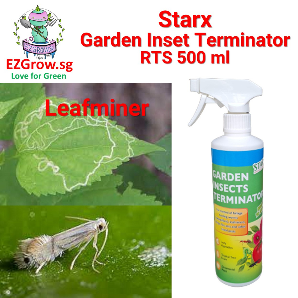 STARX Garden Insect Terminator RTS 500 ml | Against Caterpillars ...