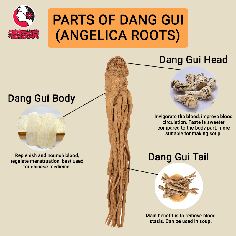 Dang Gui Tail | Gui Wei | Angelica Roots Tail | 200g Used For Cooking ...